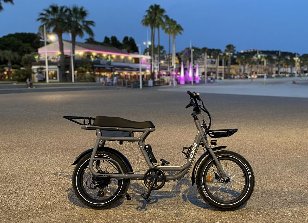 Essayez le biplace électrique Yuvy – Elwing